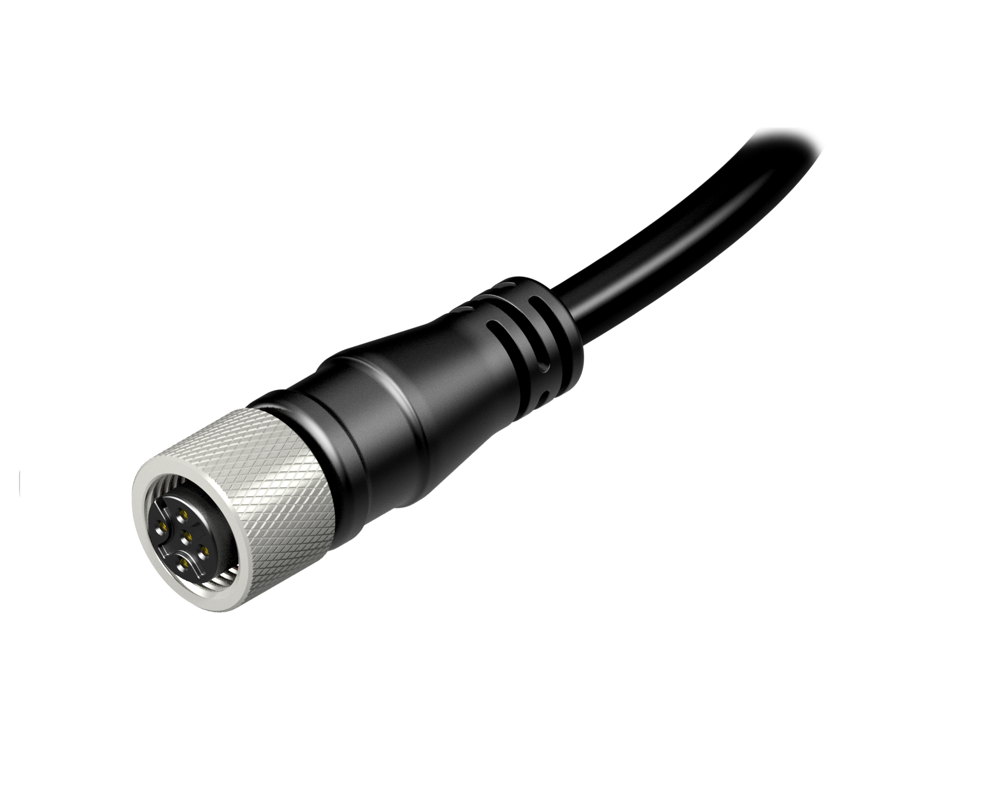 M12 Cable Assembly M12 Cable Assembly